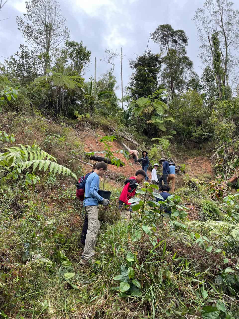 Tree-planting! Feb 2024 - Eye on the Rainforest